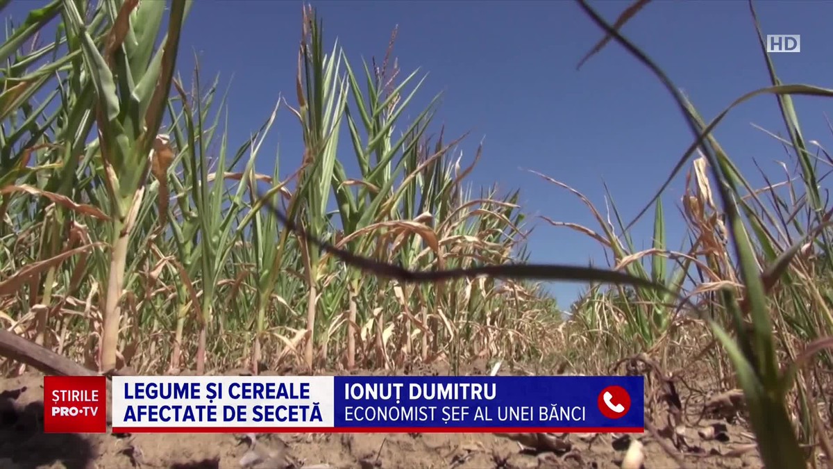 Stirile PRO TV # 19.00 – 20 August 2022 | Știri 2022 - Jurnal #19:00 ...